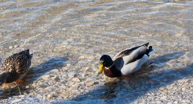รูปภาพHausente – เลือกดูภาพถ่ายสต็อก เวกเตอร์ และวิดีโอ504 | Adobe Stock