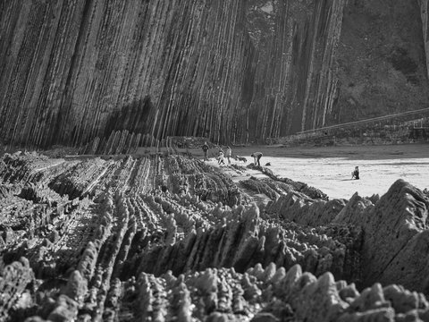 Flisch Bilder – Durchsuchen 6,103 Archivfotos, Vektorgrafiken und ...