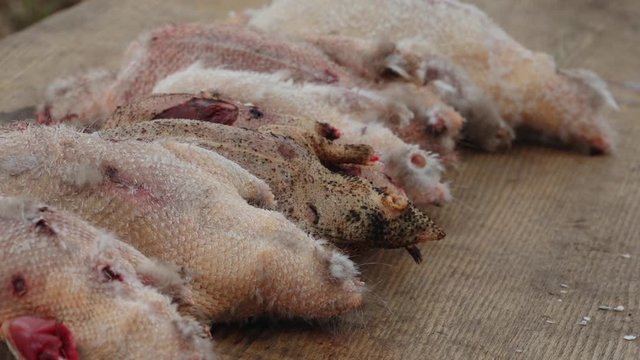 Barbarism Images – Browse 393 Stock Photos, Vectors, and Video | Adobe ...