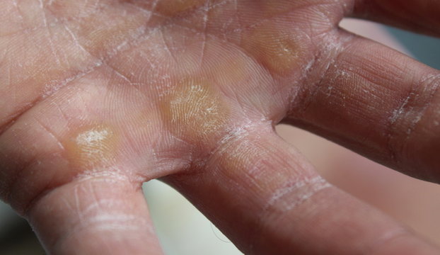 Calli Images – Browse 33,150 Stock Photos, Vectors, and Video | Adobe Stock