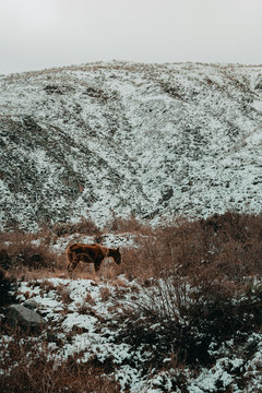 รูปภาพDelgado – เลือกดูภาพถ่ายสต็อก เวกเตอร์ และวิดีโอ3,623 | Adobe Stock