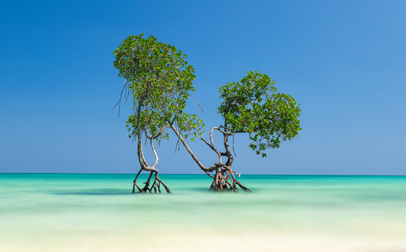 "Andaman And Nicobar Islands" Images – Browse 513 Stock Photos, Vectors ...