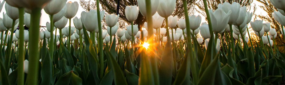 Taldy-Kurgan Bilder – Durchsuchen 1,606 Archivfotos, Vektorgrafiken und ...