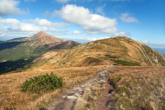 รูปภาพHoverla – เลือกดูภาพถ่ายสต็อก เวกเตอร์ และวิดีโอ5,006 | Adobe Stock