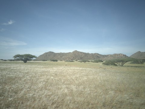 Maximo photos, images, assets | Adobe Stock