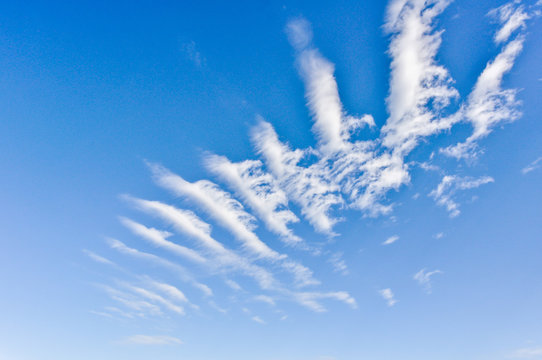 รูปภาพHaarp – เลือกดูภาพถ่ายสต็อก เวกเตอร์ และวิดีโอ139 | Adobe Stock