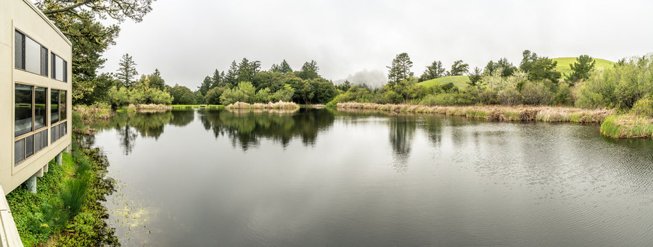 Osp Images – Browse 263 Stock Photos, Vectors, and Video | Adobe Stock