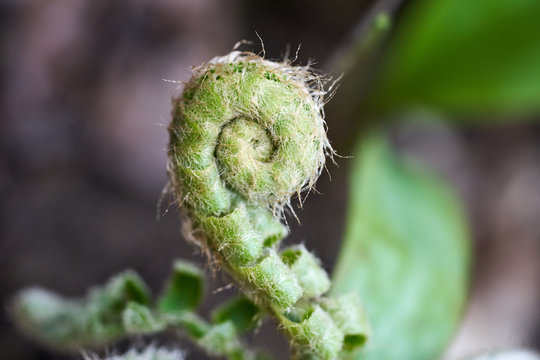 รูปภาพUncoil – เลือกดูภาพถ่ายสต็อก เวกเตอร์ และวิดีโอ548 | Adobe Stock