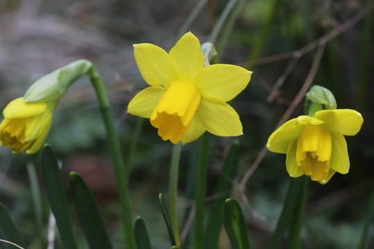 "Tete A Tete" Images – Browse 643 Stock Photos, Vectors, and Video ...