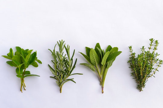 รูปภาพSilvia – เลือกดูภาพถ่ายสต็อก เวกเตอร์ และวิดีโอ468 | Adobe Stock