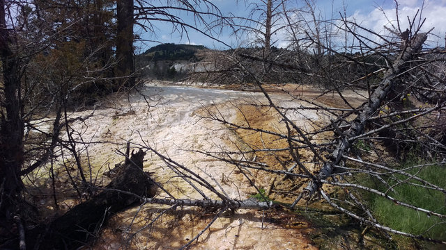 Gaiser Images – Browse 56 Stock Photos, Vectors, and Video | Adobe Stock