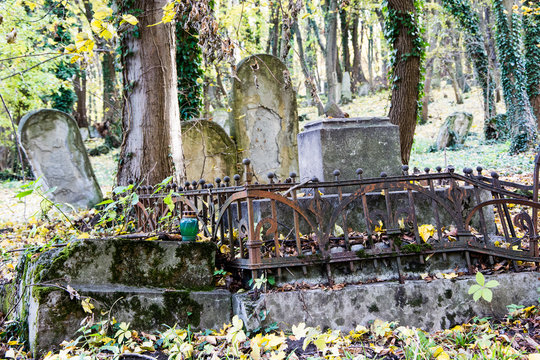 Groby Images – Browse 1,979 Stock Photos, Vectors, and Video | Adobe Stock