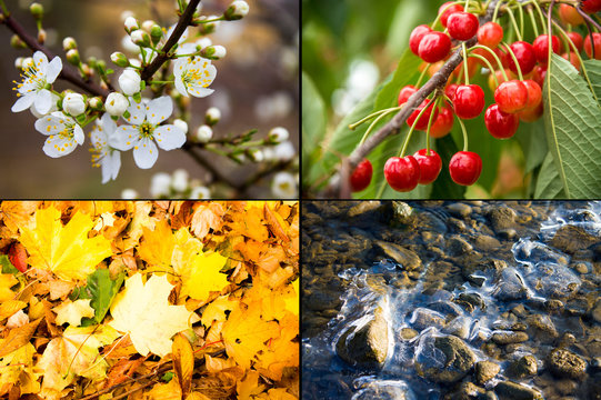 "Pory Roku" Images – Browse 1,843 Stock Photos, Vectors, and Video ...