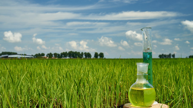 Agrochemistry bilder – Bläddra bland 976 stockfoton, vektorer och ...