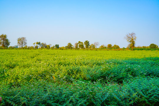 รูปภาพHarbhara – เลือกดูภาพถ่ายสต็อก เวกเตอร์ และวิดีโอ318 | Adobe Stock