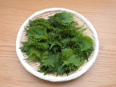 「Aojiso」の画像 - 4,635 件の Stock 写真、ベクターおよびビデオ | Adobe Stock