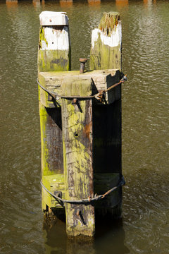 Boja Images – Browse 423 Stock Photos, Vectors, and Video | Adobe Stock