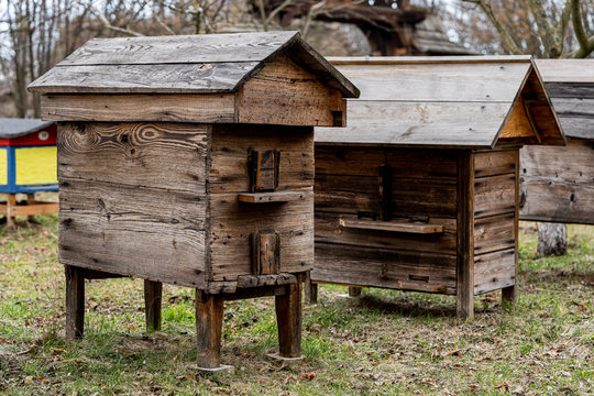 รูปภาพBehive – เลือกดูภาพถ่ายสต็อก เวกเตอร์ และวิดีโอ163 | Adobe Stock