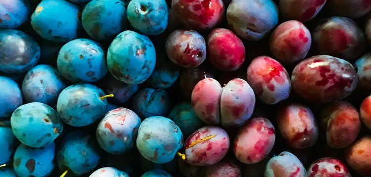 Pflaumensorten-Bilder: Stock-Fotos & -Videos. | Adobe Stock