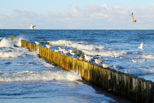 402,896 BEST Breakwater IMAGES, STOCK PHOTOS & VECTORS | Adobe Stock