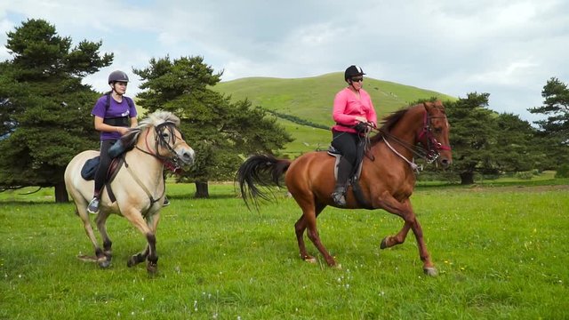 Brown Dp Stock Videos – 5 HD & 4K Footage Clips | Adobe Stock