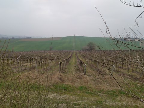 รูปภาพVitigno – เลือกดูภาพถ่ายสต็อก เวกเตอร์ และวิดีโอ1,834 | Adobe Stock