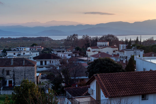 「Stylida」の写真素材 | 71件の無料イラスト画像 | Adobe Stock