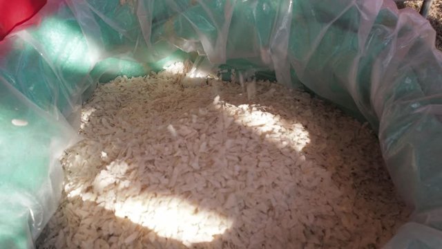 รูปภาพSprinkel – เลือกดูภาพถ่ายสต็อก เวกเตอร์ และวิดีโอ254 | Adobe Stock