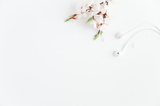 "Styled Background" Images – Browse 432 Stock Photos, Vectors, and ...