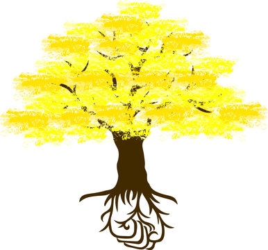 Araguaney 이미지 – 찾아보기 1,037 스톡 사진, 벡터 및 비디오 | Adobe Stock