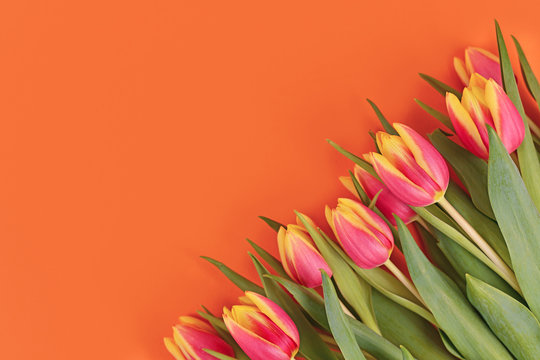 「Riht」の画像 - 4 件の Stock 写真、ベクターおよびビデオ | Adobe Stock