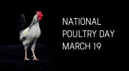 20+ Free National Poultry Day Images | Free HD Downloads - Pikwizard