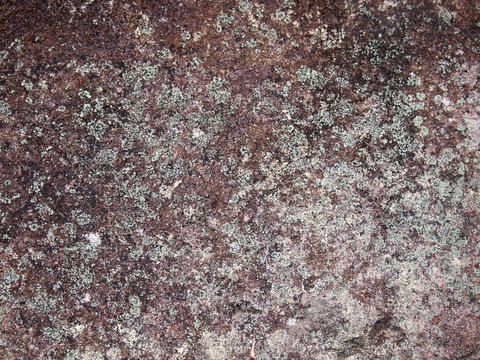 Akemi Kodama photos, images, assets | Adobe Stock