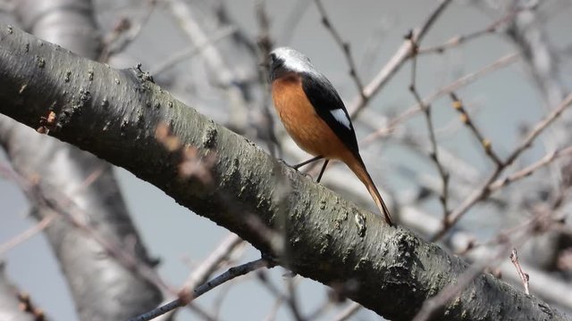 Otterrute Bilder – Durchsuchen 103 Archivfotos, Vektorgrafiken und ...