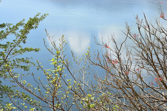 Ripplet Images – Browse 100 Stock Photos, Vectors, and Video | Adobe Stock