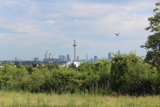 Riedberg 이미지 – 찾아보기 351 스톡 사진, 벡터 및 비디오 | Adobe Stock