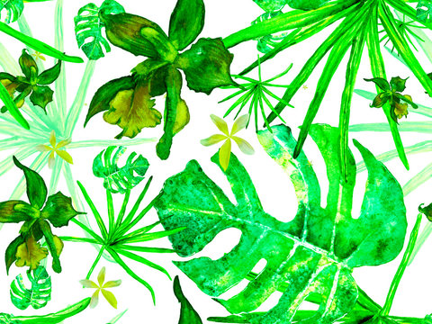 รูปภาพ"Agonis – เลือกดูภาพถ่ายสต็อก เวกเตอร์ และวิดีโอ330 | Adobe Stock