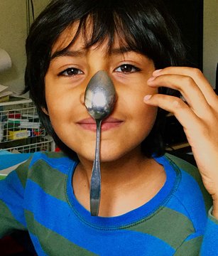 รูปภาพSnub-Nosed – เลือกดูภาพถ่ายสต็อก เวกเตอร์ และวิดีโอ5,934 | Adobe ...