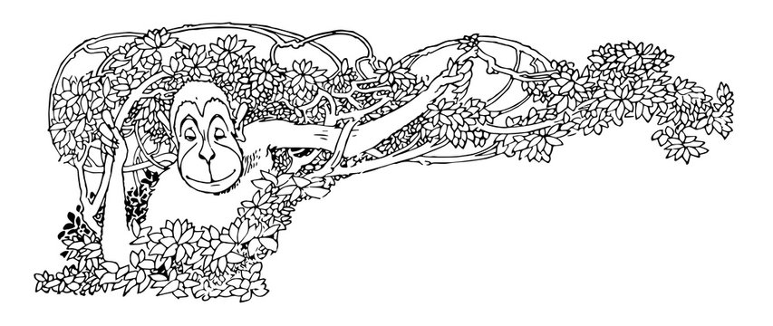 Therein Images – Browse 36,717 Stock Photos, Vectors, and Video | Adobe ...