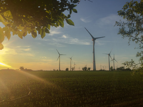 Biostrom Bilder – Durchsuchen 1,160 Archivfotos, Vektorgrafiken und ...