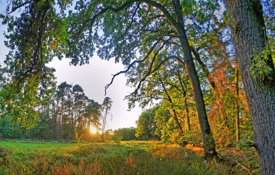 Buesche Bilder – Durchsuchen 12,210 Archivfotos, Vektorgrafiken und ...