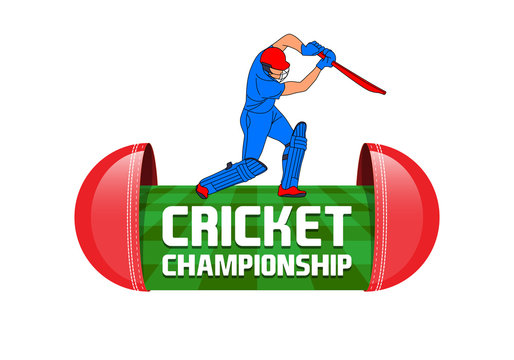 Box Cricket Logo