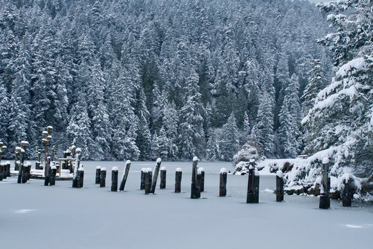 Oark Bilder – Durchsuchen 162 Archivfotos, Vektorgrafiken und Videos ...