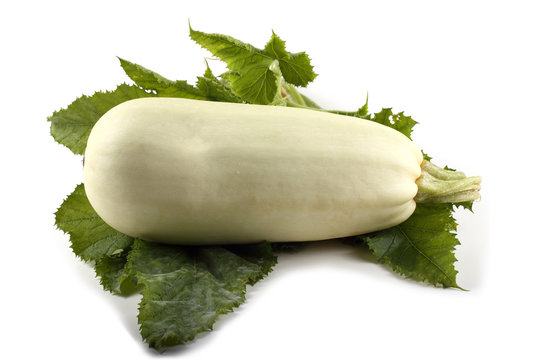 "White Squash" Images – Browse 4,237 Stock Photos, Vectors, and Video ...
