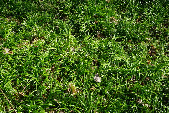 Paradoxum Bilder – Durchsuchen 82 Archivfotos, Vektorgrafiken und ...