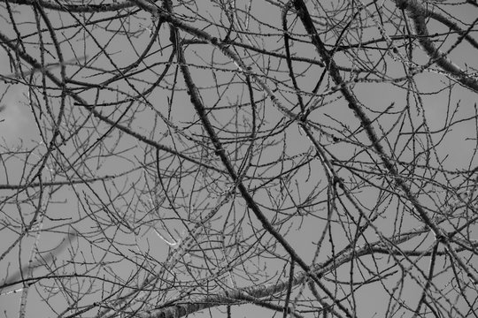 Fria Bilder – Durchsuchen 2,806 Archivfotos, Vektorgrafiken und Videos ...