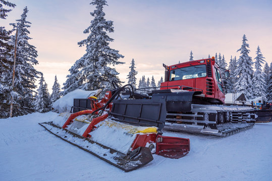 รูปภาพRatrac – เลือกดูภาพถ่ายสต็อก เวกเตอร์ และวิดีโอ549 | Adobe Stock