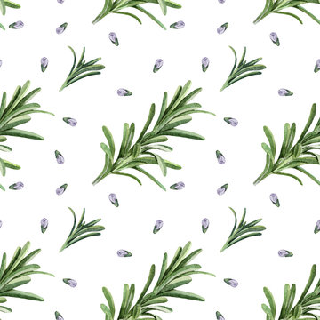 Rosemary Background Images – Browse 622,462 Stock Photos, Vectors, and ...