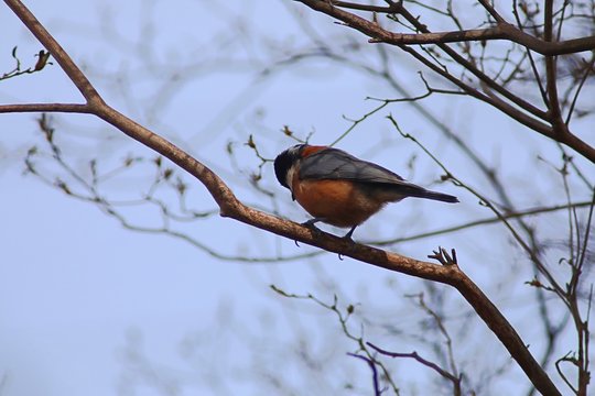 Otterrute Bilder – Durchsuchen 103 Archivfotos, Vektorgrafiken und ...
