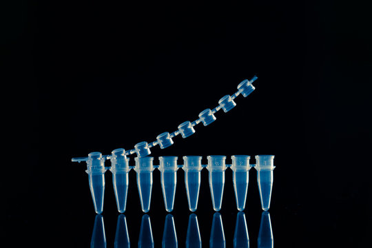 Pcr Bilder – Durchsuchen 33,365 Archivfotos, Vektorgrafiken und Videos ...